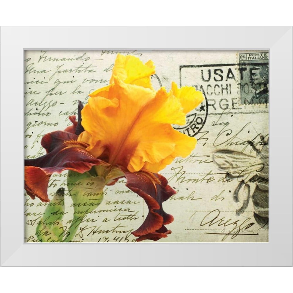 Melious, Amy 32x26 White Modern Wood Framed Museum Art Print Titled ...