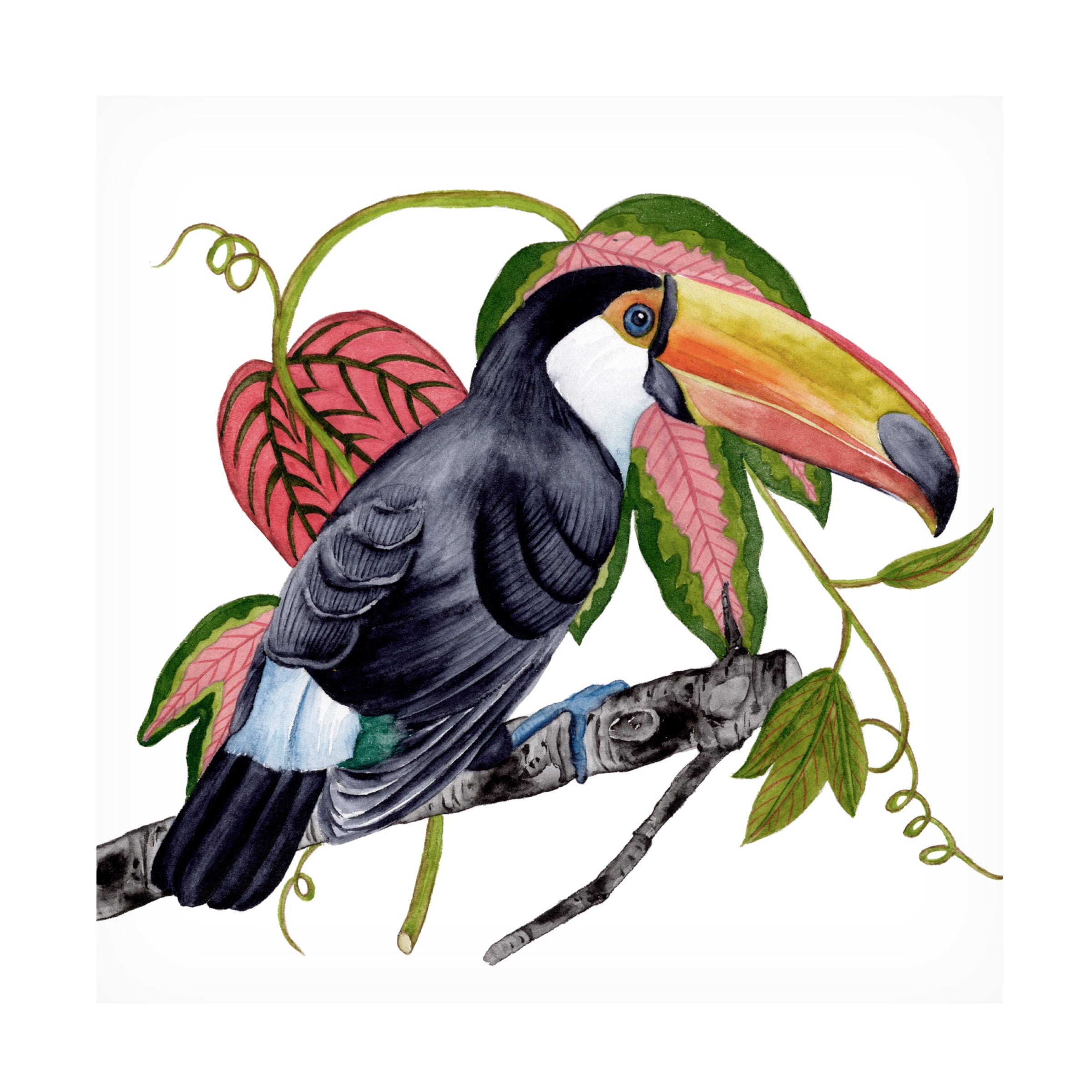 Melissa Wang 'Toco Toucan II' Canvas Art - Walmart.com