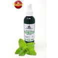 Melissa hydrosol organic floral water 100% pure natural spray 8 oz ...