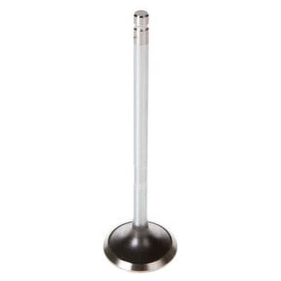 Ford Flex Engine Exhaust Valve