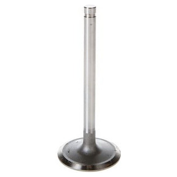 Nissan Versa Engine Intake Valve