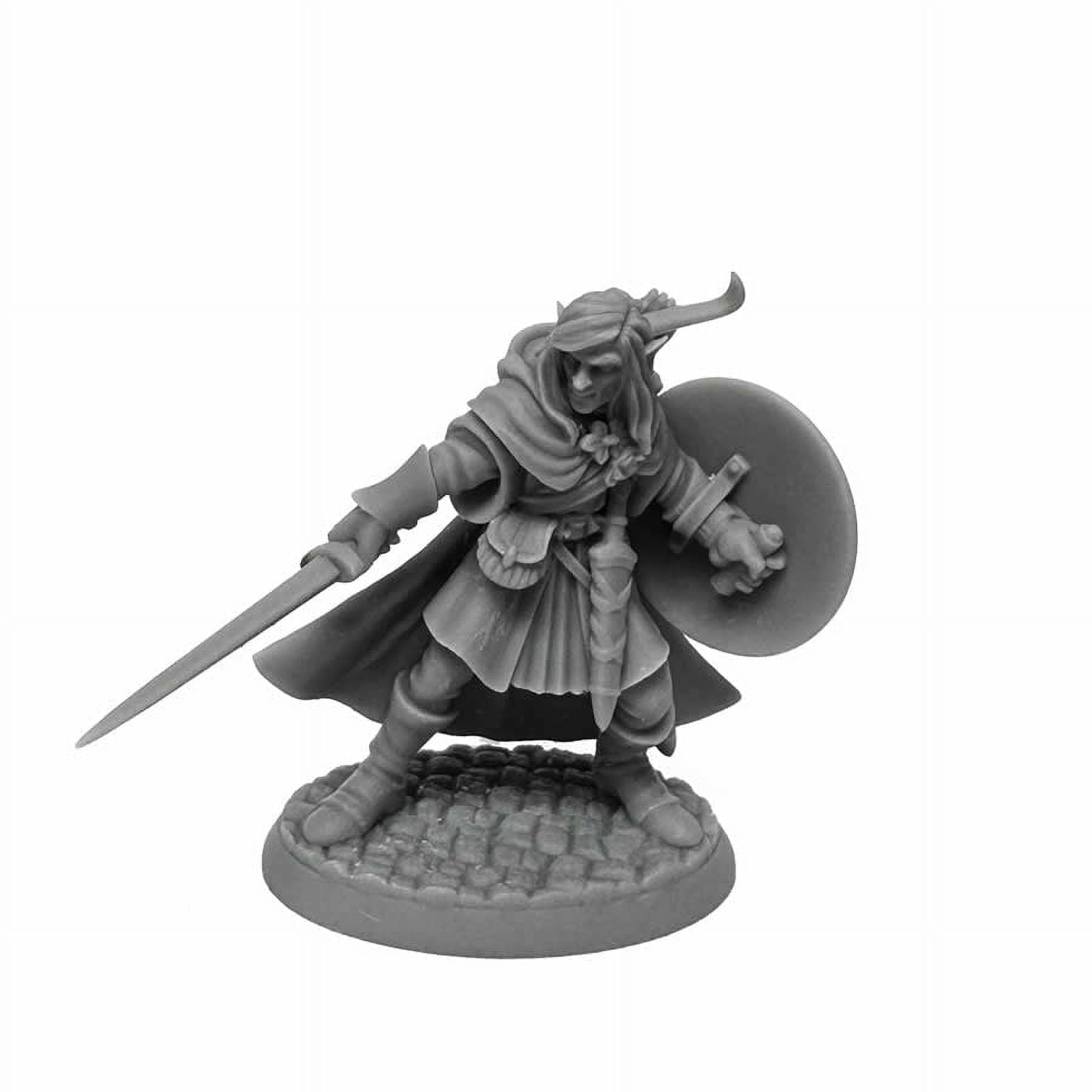 Mellonir Windrunner Elf Warrior Miniature 25mm Heroic Scale Figure ...