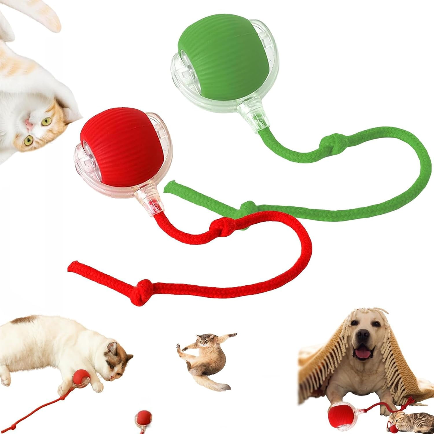 The Mellow Dog Automatic Dog Walker, The Mellow, Chewie Viral Rolling ...