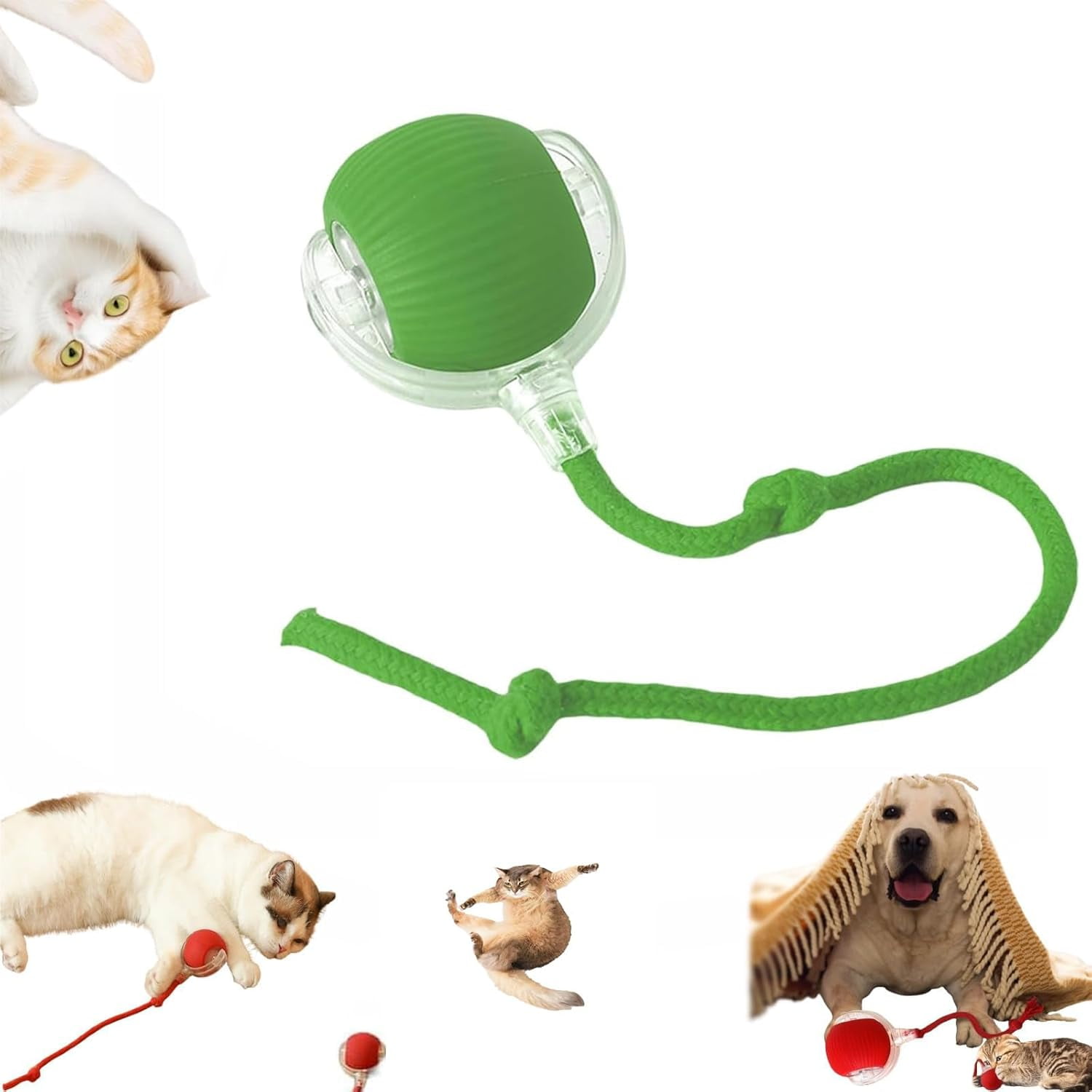 The Mellow Dog Automatic Dog Walker, The Mellow, Chewie Viral Rolling ...