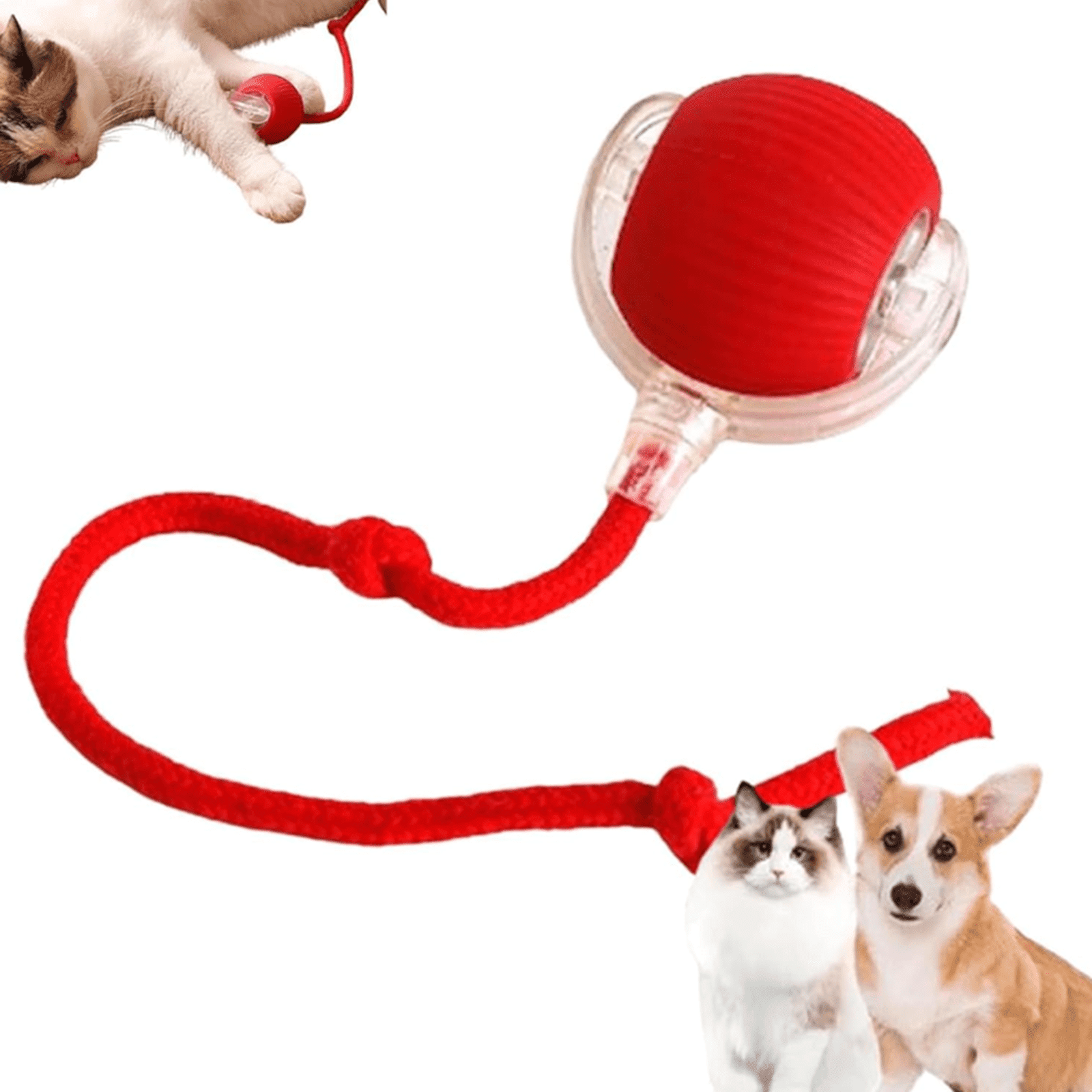 The Mellow Dog Automatic Dog Walker, Self Moving Rollingt Smart Chase ...