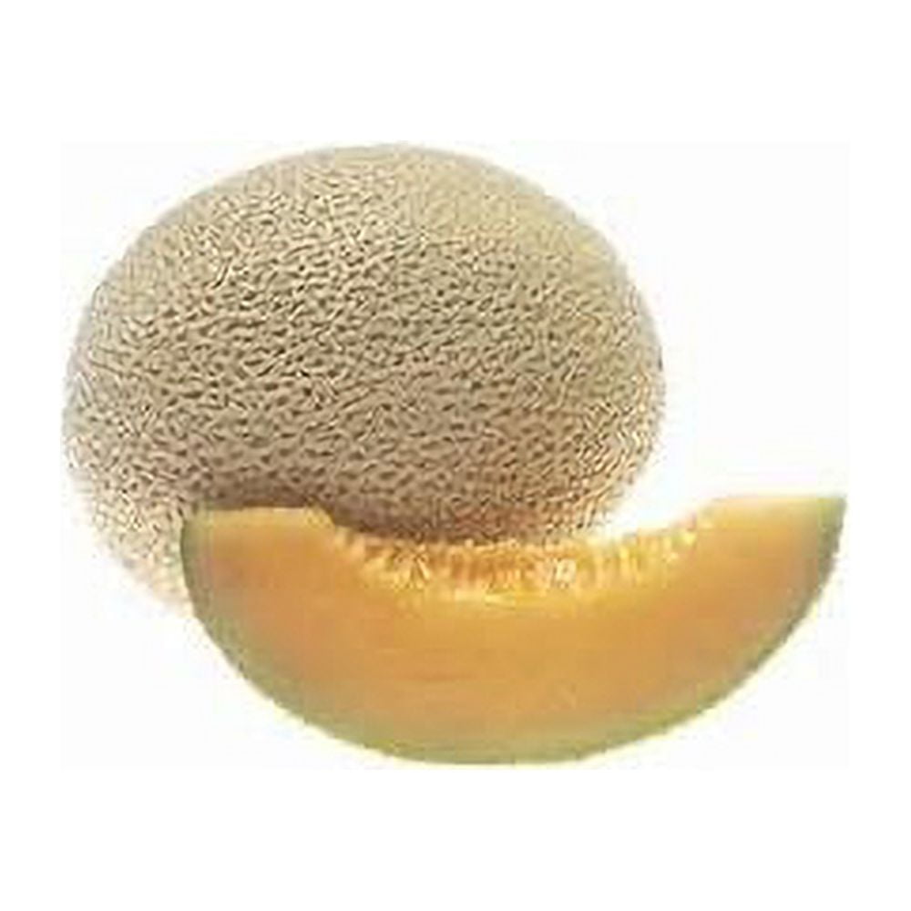 Melon Edisto 47 Great Heirloom Vegetable By Seed Kingdom BULK 2,500 ...
