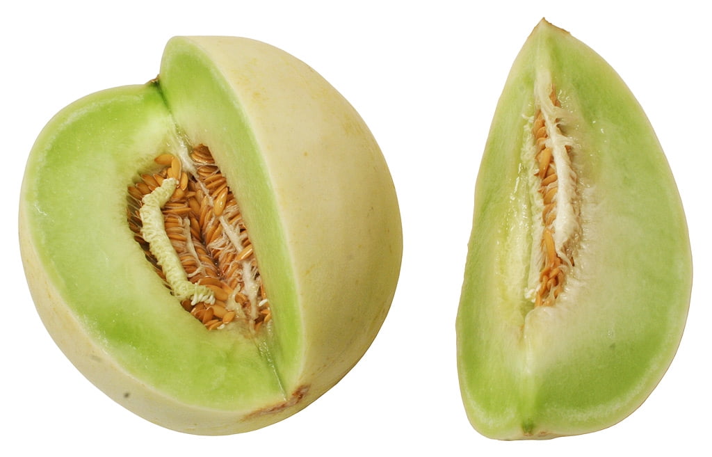 Melon Honey Dew Green Flesh Great Heirloom Vegetable by Seed Kingdom (5 ...