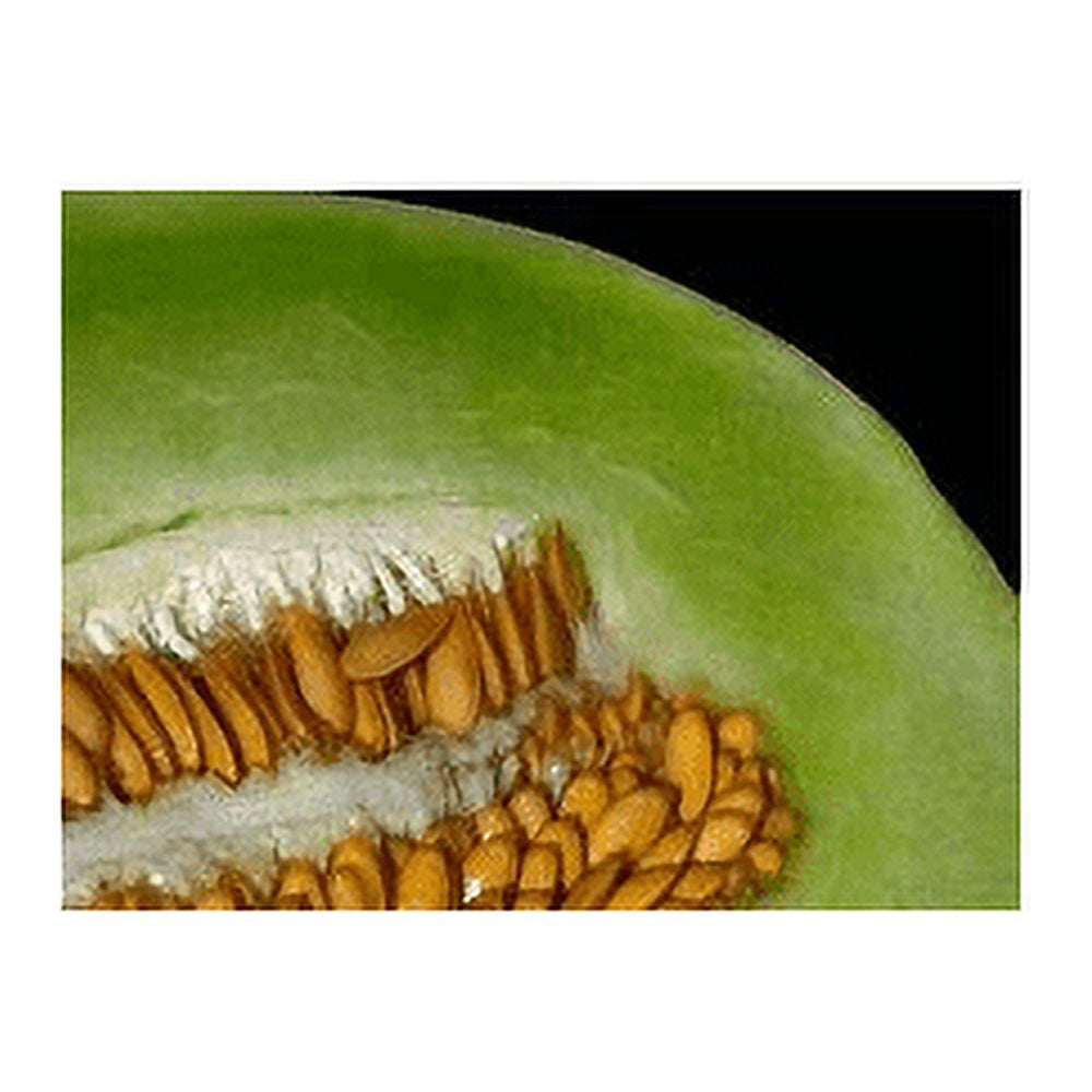 Melon Rocky Ford Green Flesh Great Heirloom Vegetable By Seed Kingdom ...