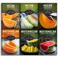 Full Sun Melon Seed Collection - 6 Packs for Summer Planting Garden ...