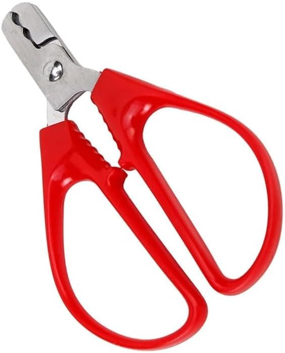 Melon Seed Cracker Plier, Sunflower Seeds Plier Opener - Seed Cracker ...