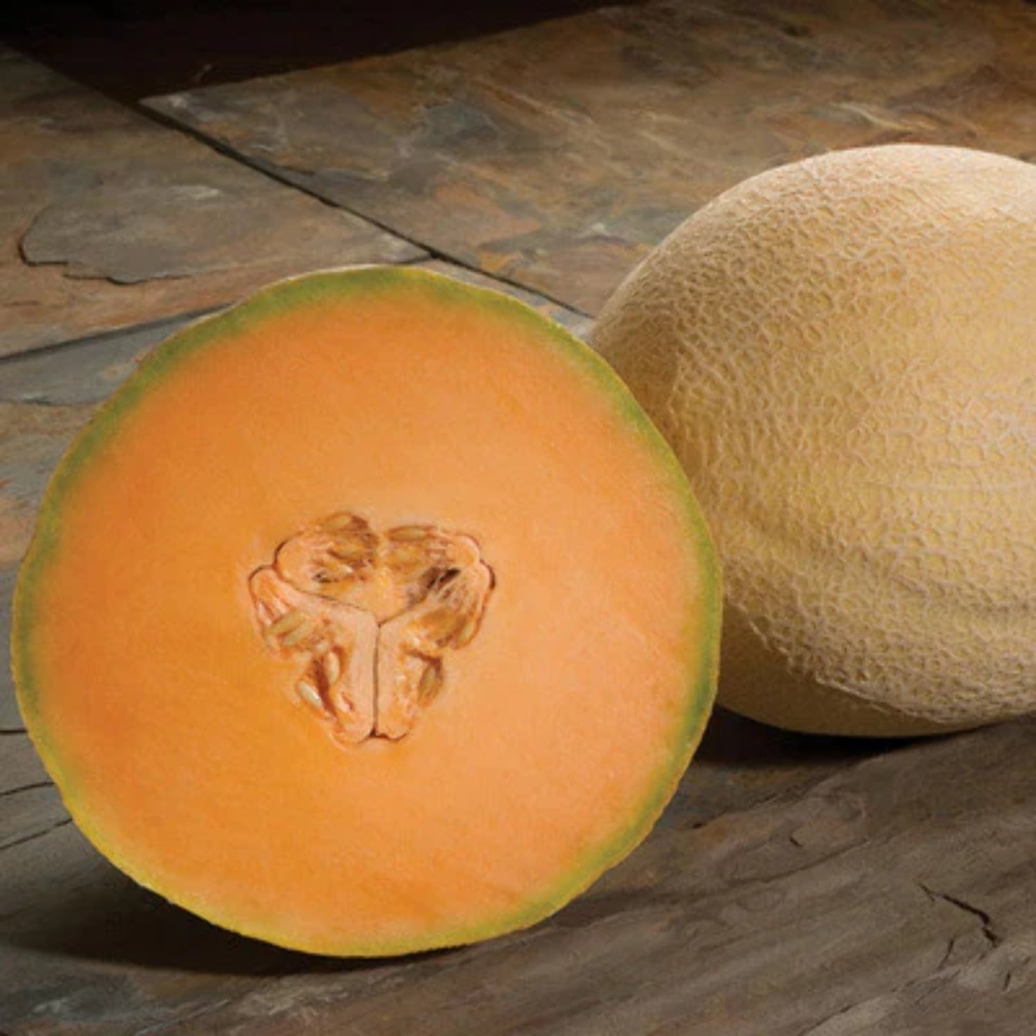Melon Seeds - Atlantis Variety Melon Seeds - Non-GMO - 25 Seeds ...