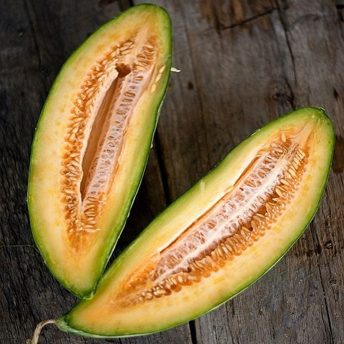 Melon Seeds - Banana - Packet - Vegetable Seeds, Heirloom Seed, Open ...