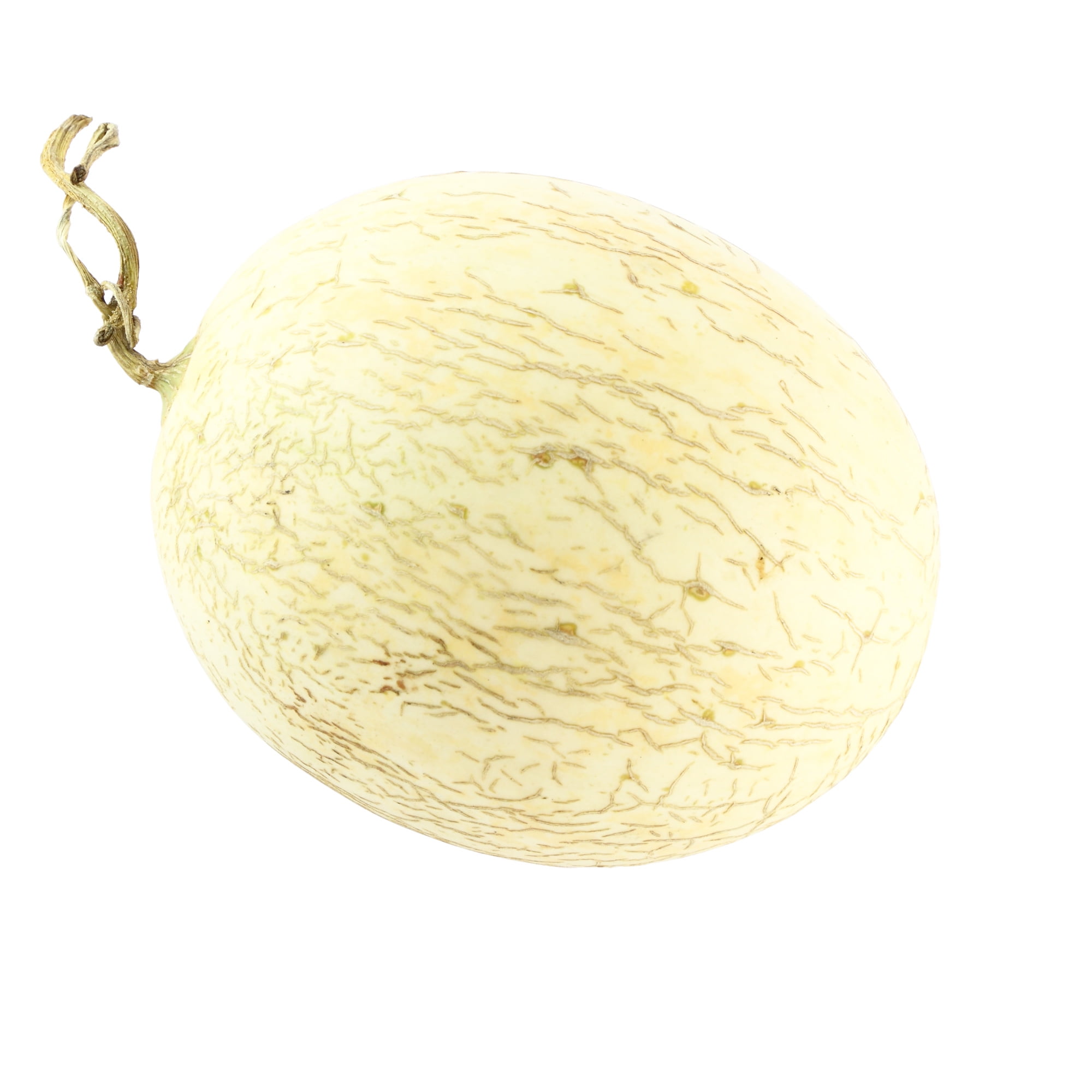 Melon Seeds - Branco Do Ribatejo - 1 Lb ~14,400 Seeds - Cucumis melo ...