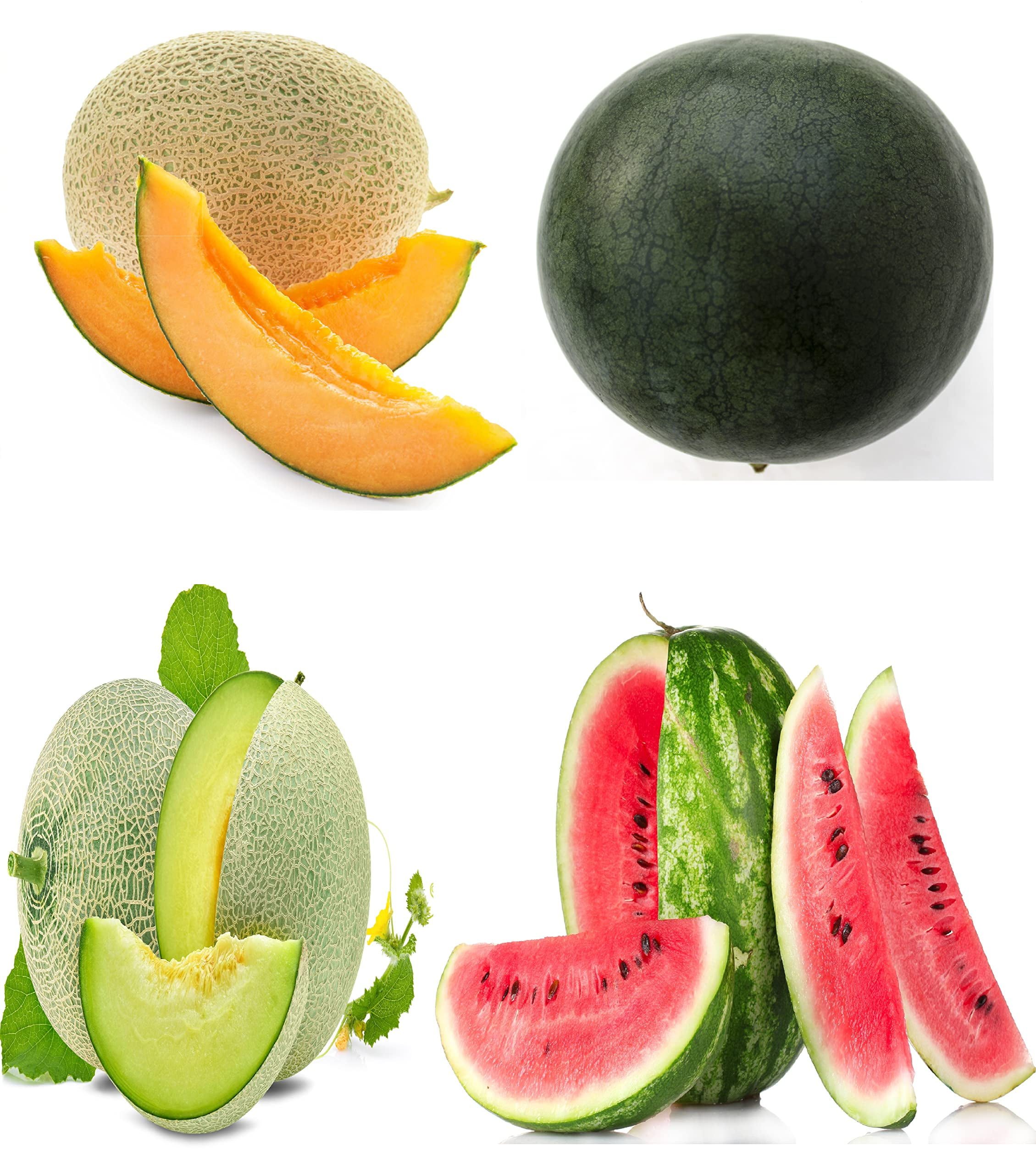 Melon Seeds Collection, TWE5 4 Heirloom Non-GMO Varieties. Sugar Baby ...