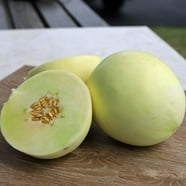 Hopi Blue Flour Corn - 100 Seeds - Walmart.com