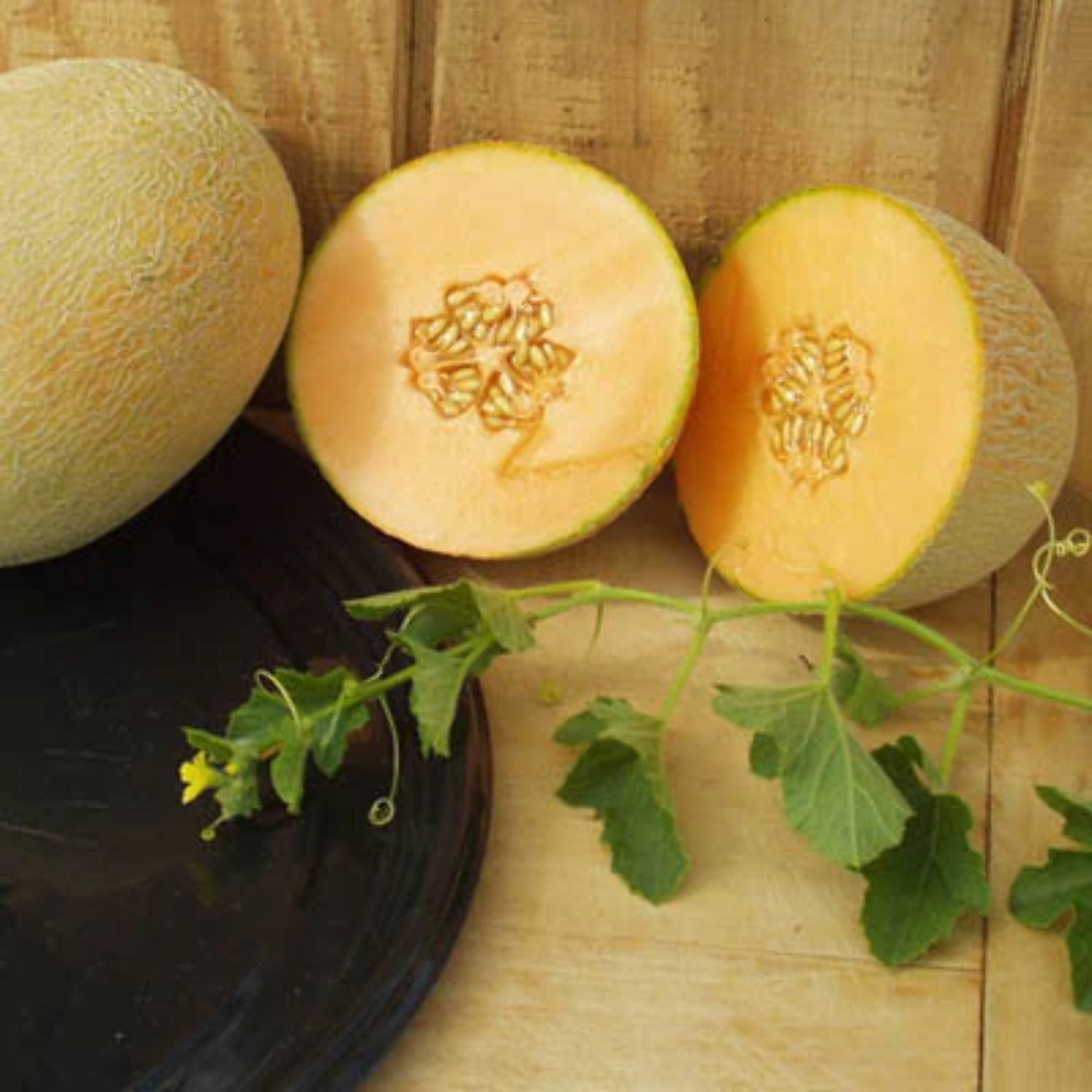 Melon Seeds - Goddess Variety Melon Seeds - Non-GMO - 25 Seeds ...