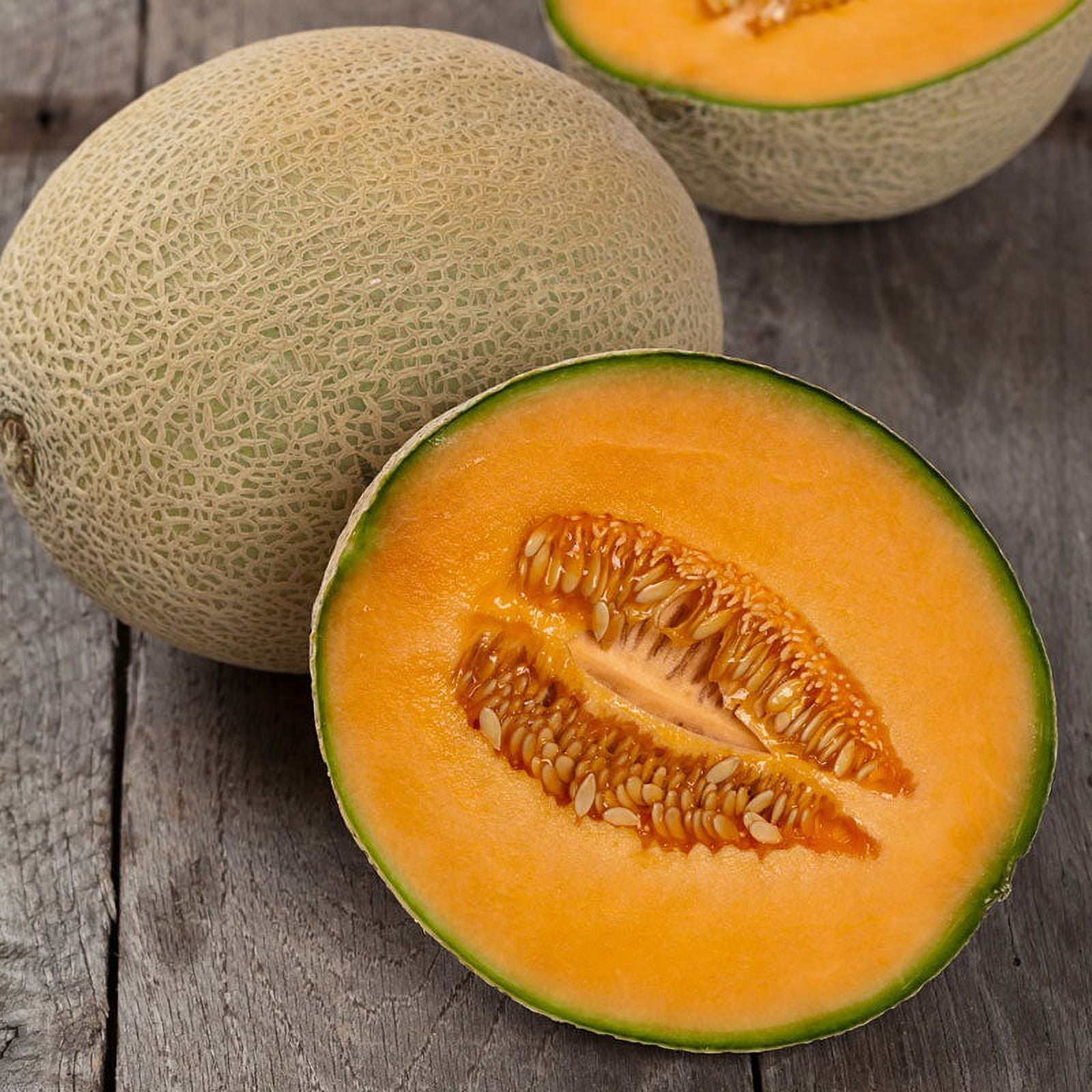 Melon Seeds - Hales Best Jumbo - Packet - Vegetable Seeds, Heirloom ...
