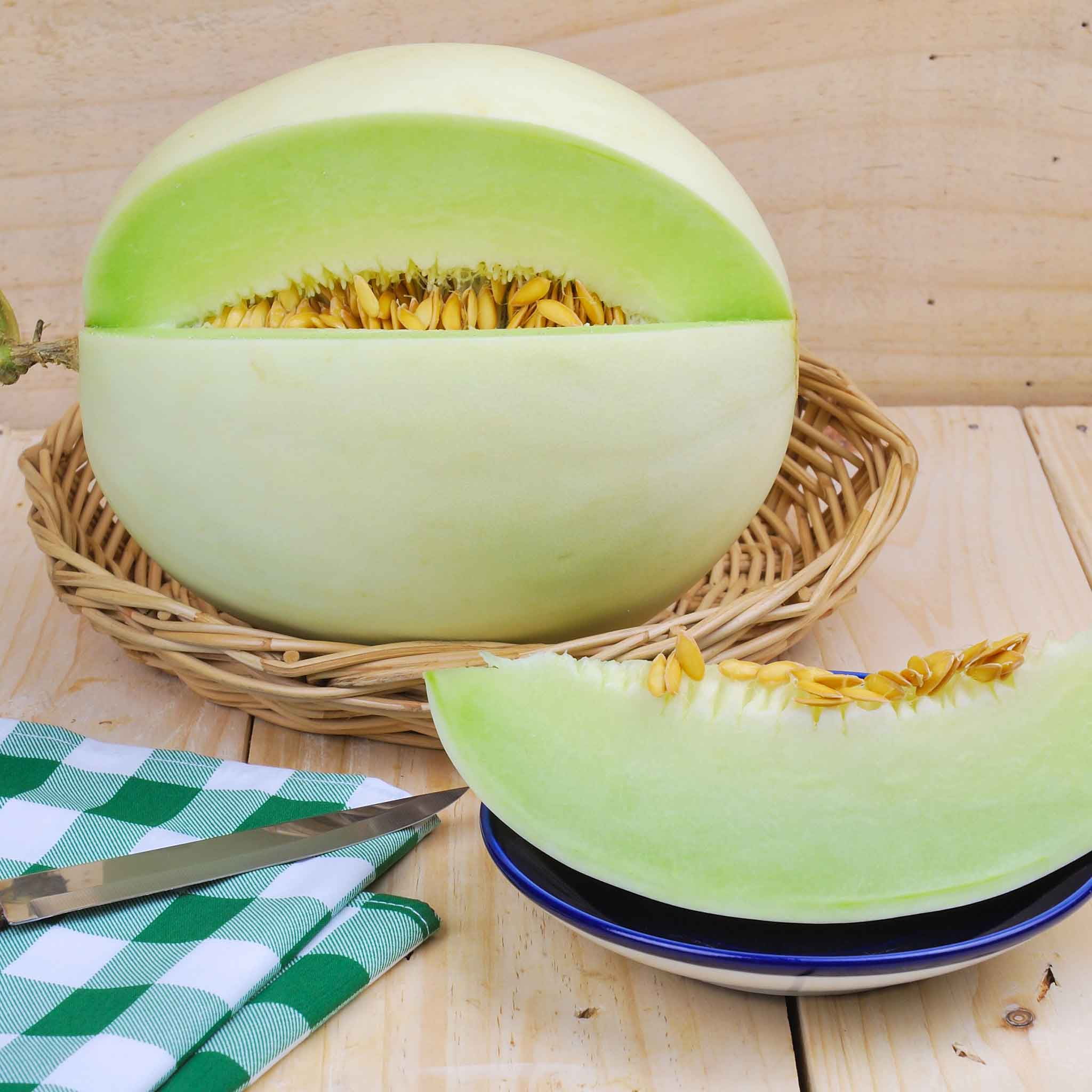 Melon Seeds - Honeydew Green - 1/4 Pound - Vegetable Seeds, Heirloom ...