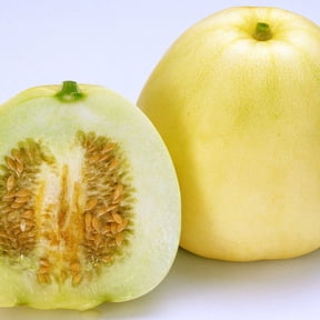 10 Korean Melon Seeds - Rare Orange Skinned Melon - Colorful and ...