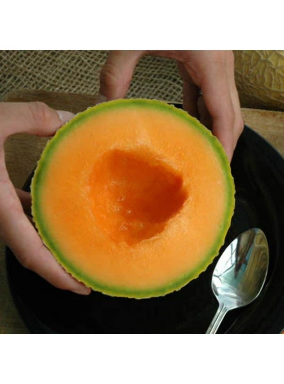 Melon Seeds in Seed Gardening - Walmart.com