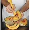 Melon Slicer and Seeder with Ergonomic Handle, Stainless Steel Blades ...