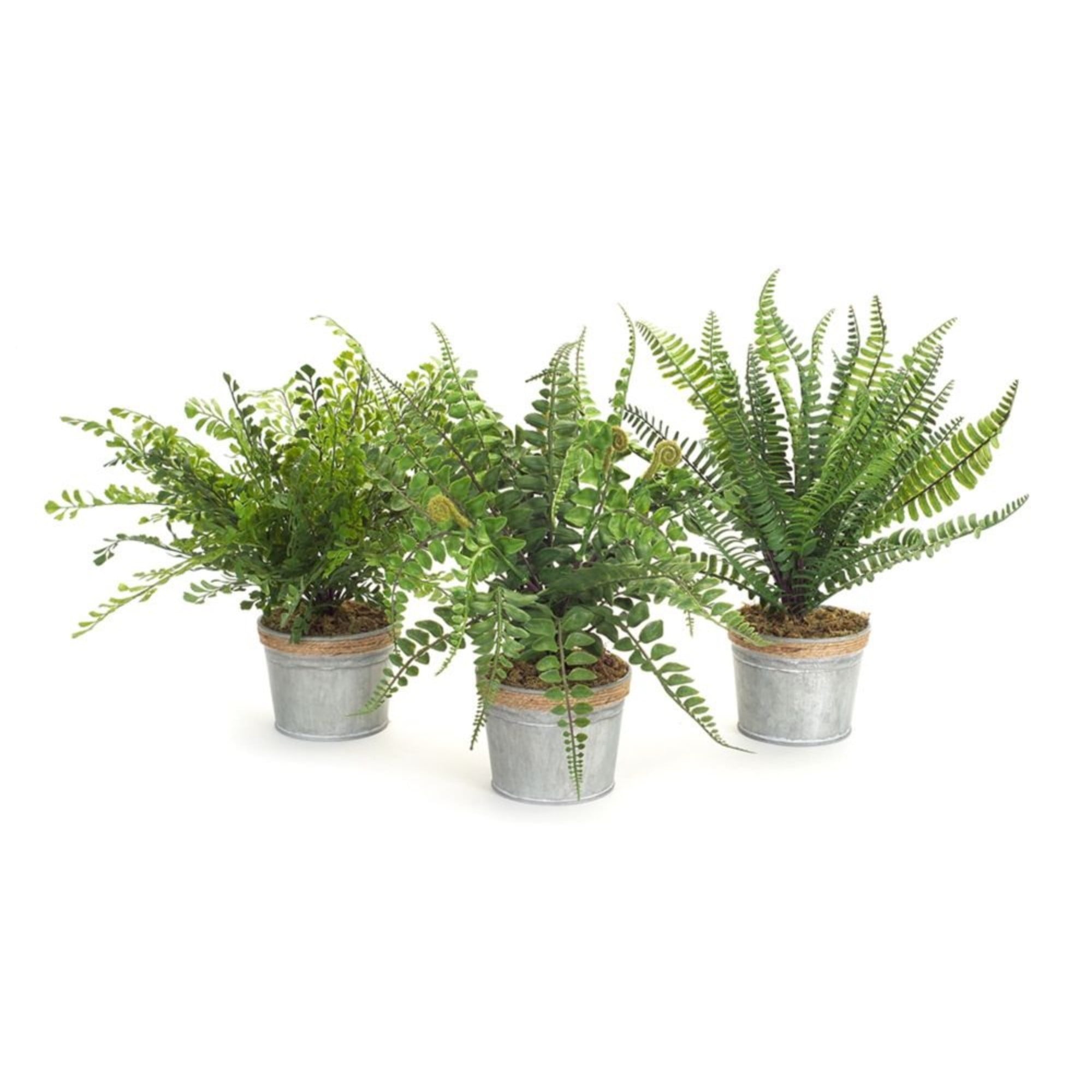 Melrose Artificial Fern Potted Plants - 14.5” - Set of 3 - Walmart.com