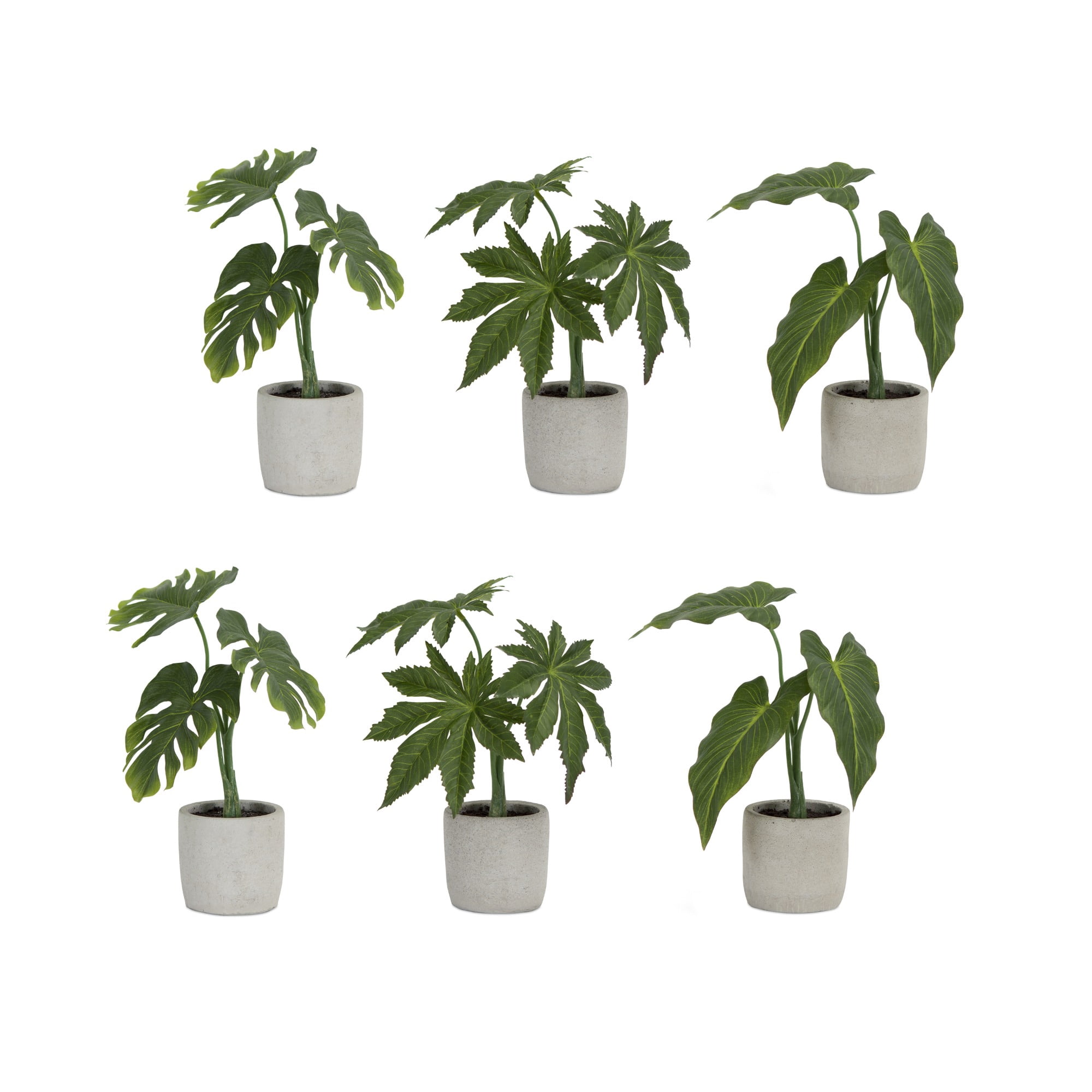 Melrose Foliage Potted Plants - 11.5” - Green and White - Set of 6 ...