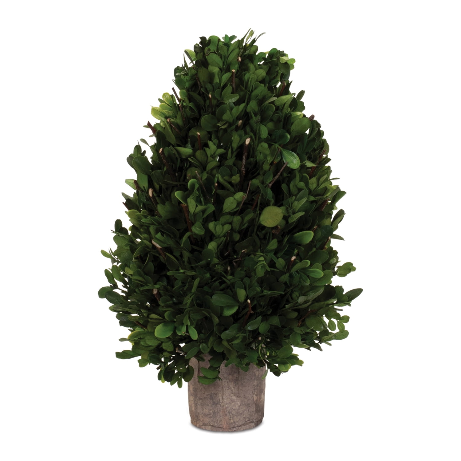 Melrose Boxwood Topiary Plants with Pot - 15.75" - Green - Walmart.com