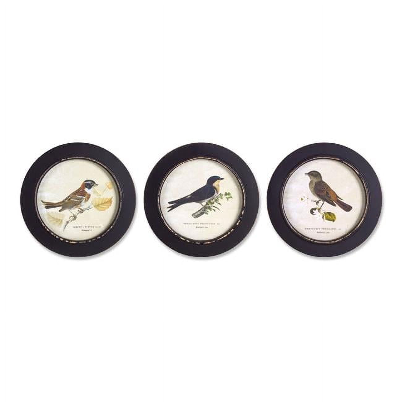 Melrose International DS 9.5 in. MDF Framed Bird Print - Set of 3 ...
