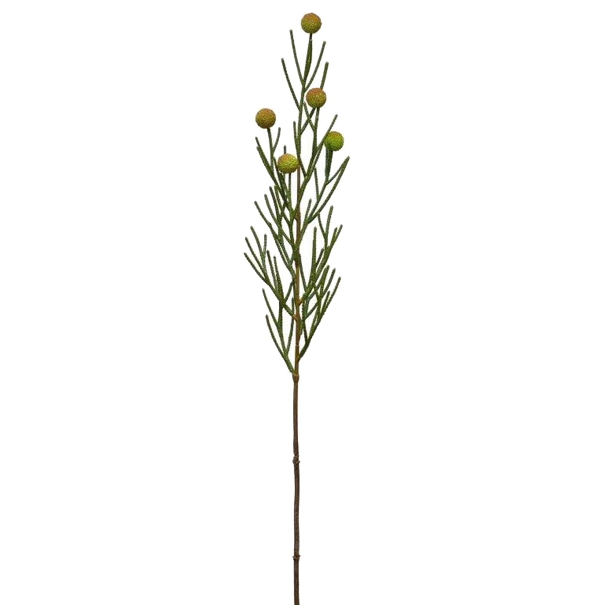 Melrose International Green Brunia Ball Spray (Set of 4) - Walmart ...