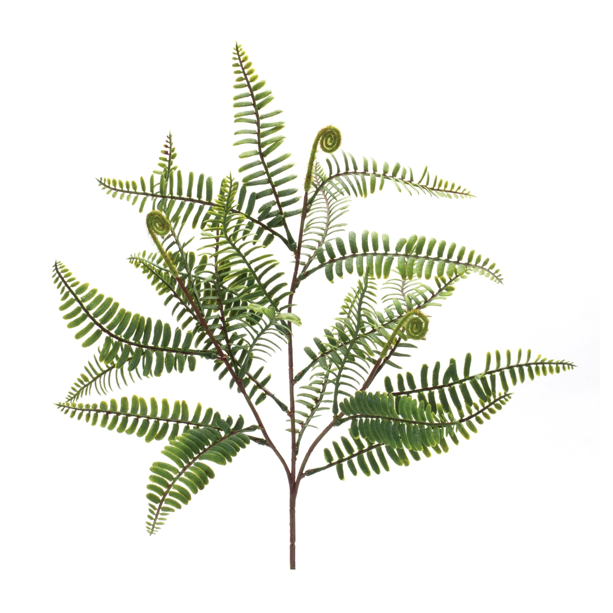 Melrose Set of 6 Fern Artificial Sprays 20" - Walmart.com
