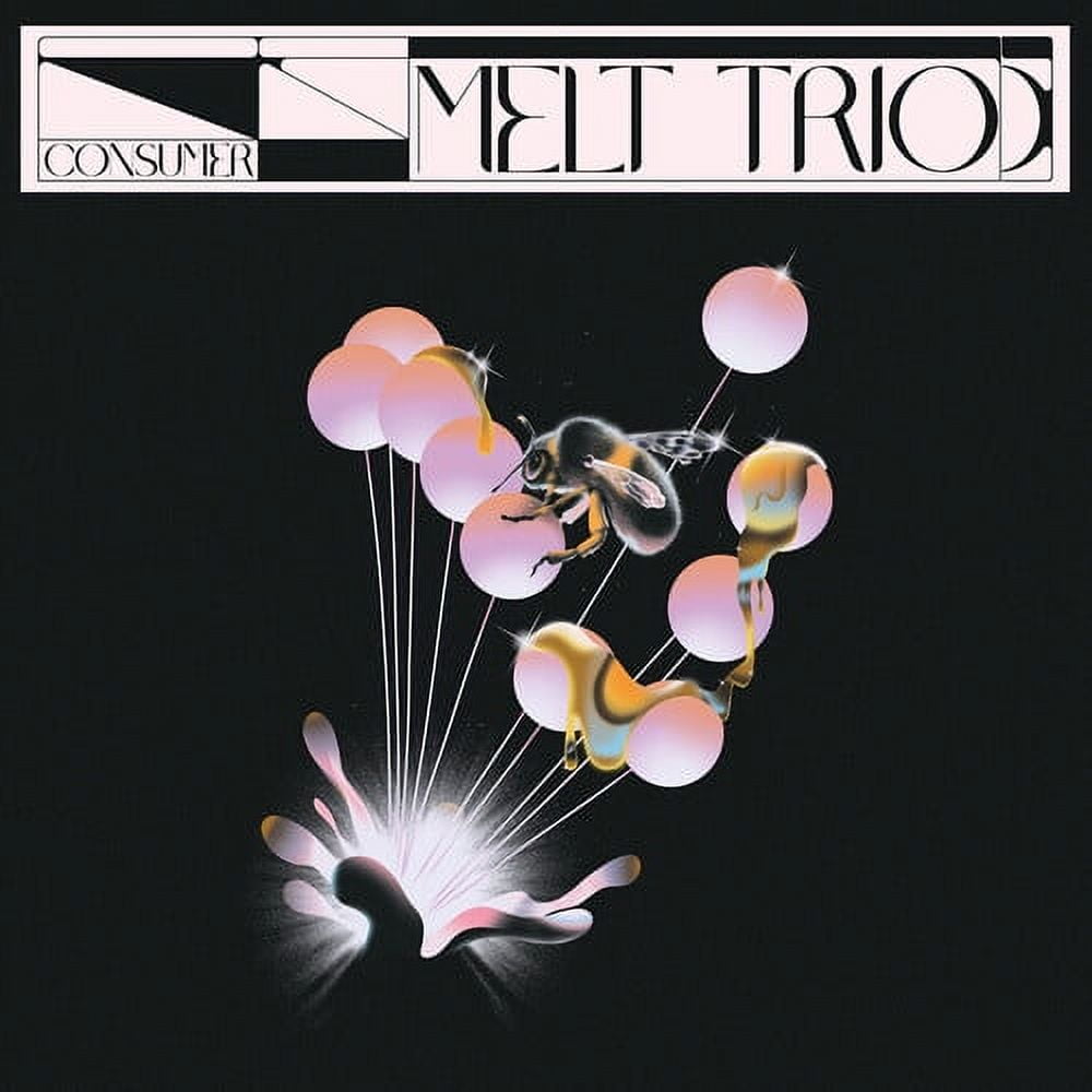 Melt Trio - Consumer - Music & Performance - Vinyl - Walmart.com