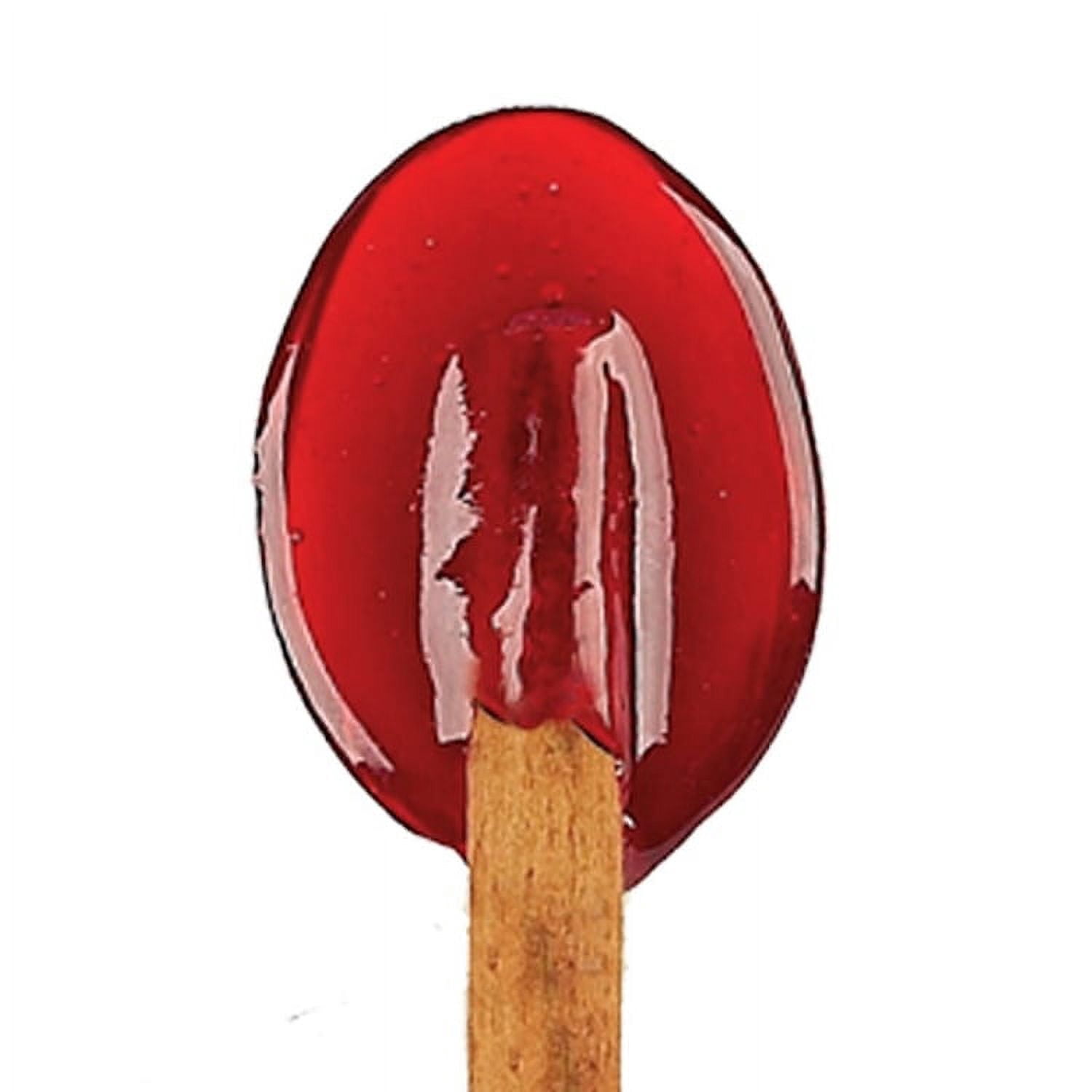 Melville Candy Cinnamon Stick Spoons, Apple Mulling Spice, 3 Pack ...