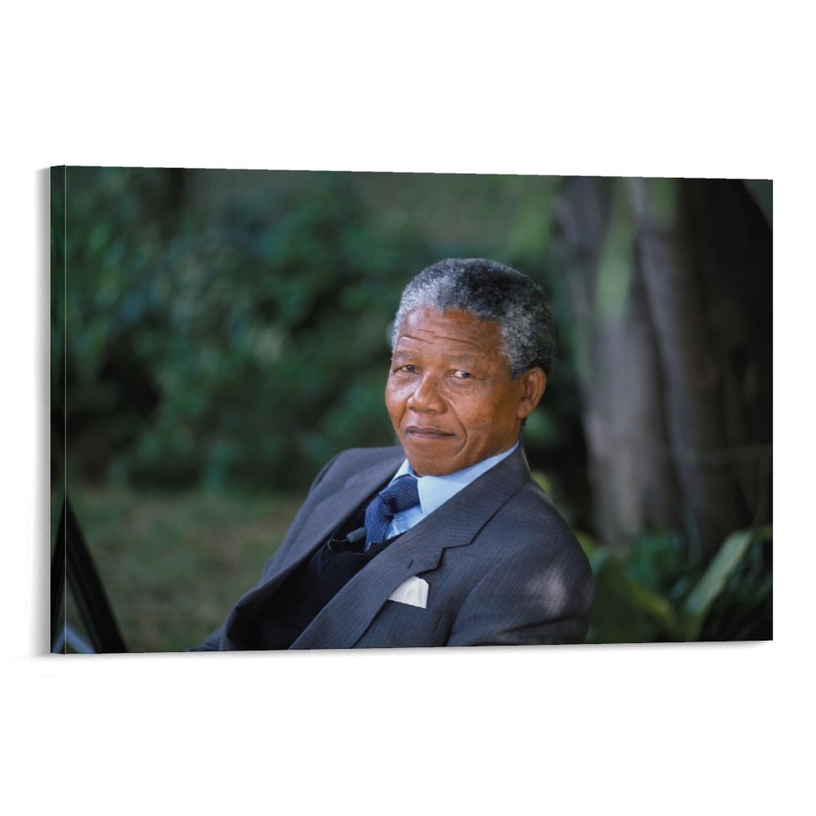 Members of The South African Communist Party Nelson Mandela Poster ...