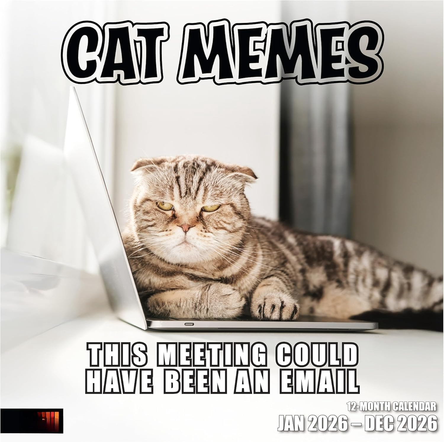 Memes 2026 Wall Calendar 12 Month | 12" x 24" Open | Thick & Sturdy ...