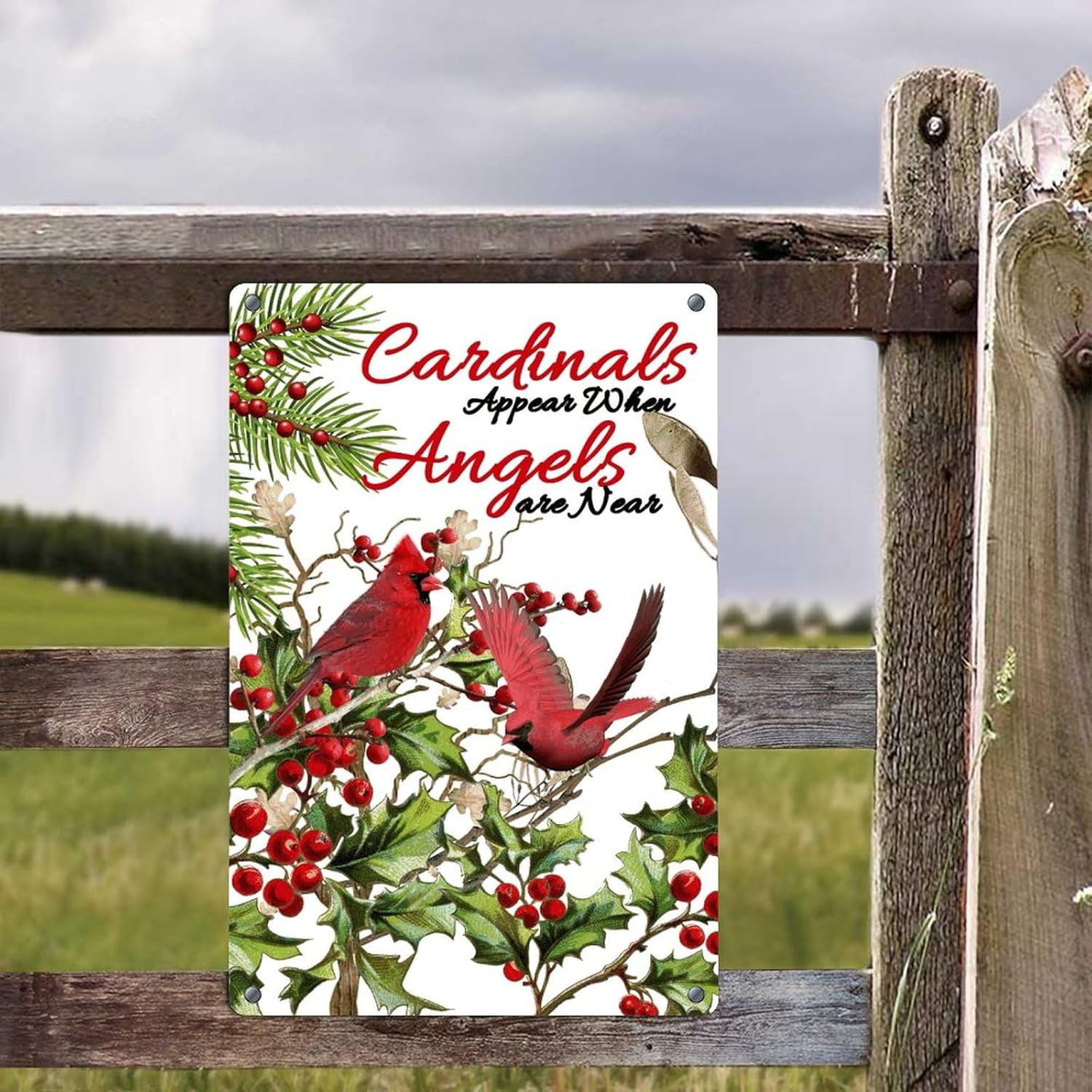 Memorial Cardinal's Appear Angels Are Near Fashion Chic Metal Sign ...