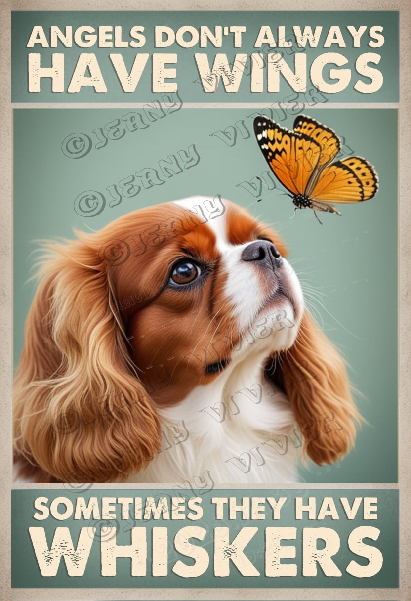 Memorial Cavalier King Charles Spaniel Aluminum Sign - Angels Don't ...