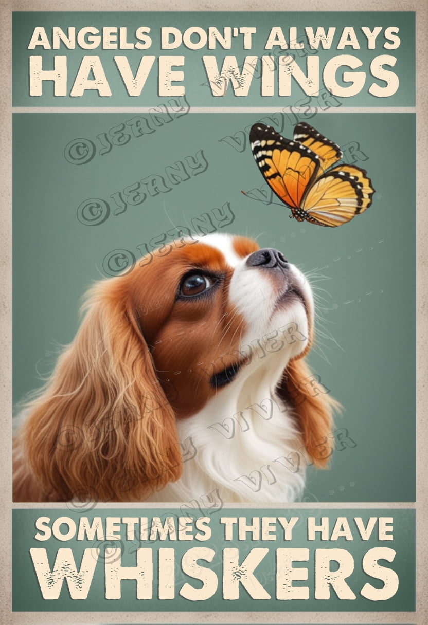 Memorial Cavalier King Charles Spaniel Aluminum Sign - Angels Don't ...
