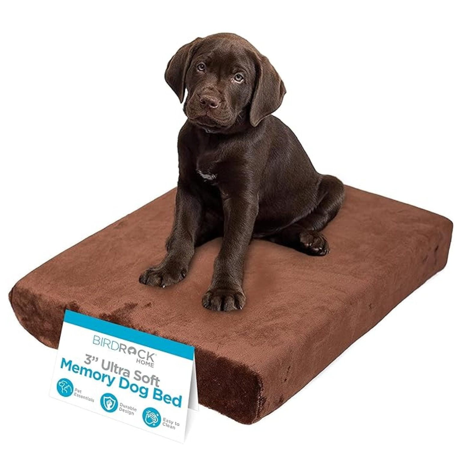 Memory Dog Bed 3 Inch | Plush Pet Bed for Small & Medium Dogs ...