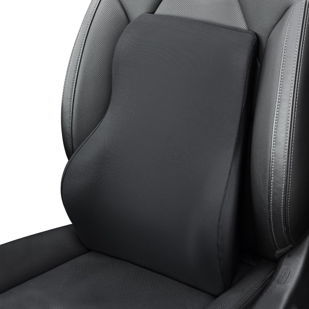 Memory Foam Lumbar Support Pillow for Cars - Relieves Back Pain, Car ...