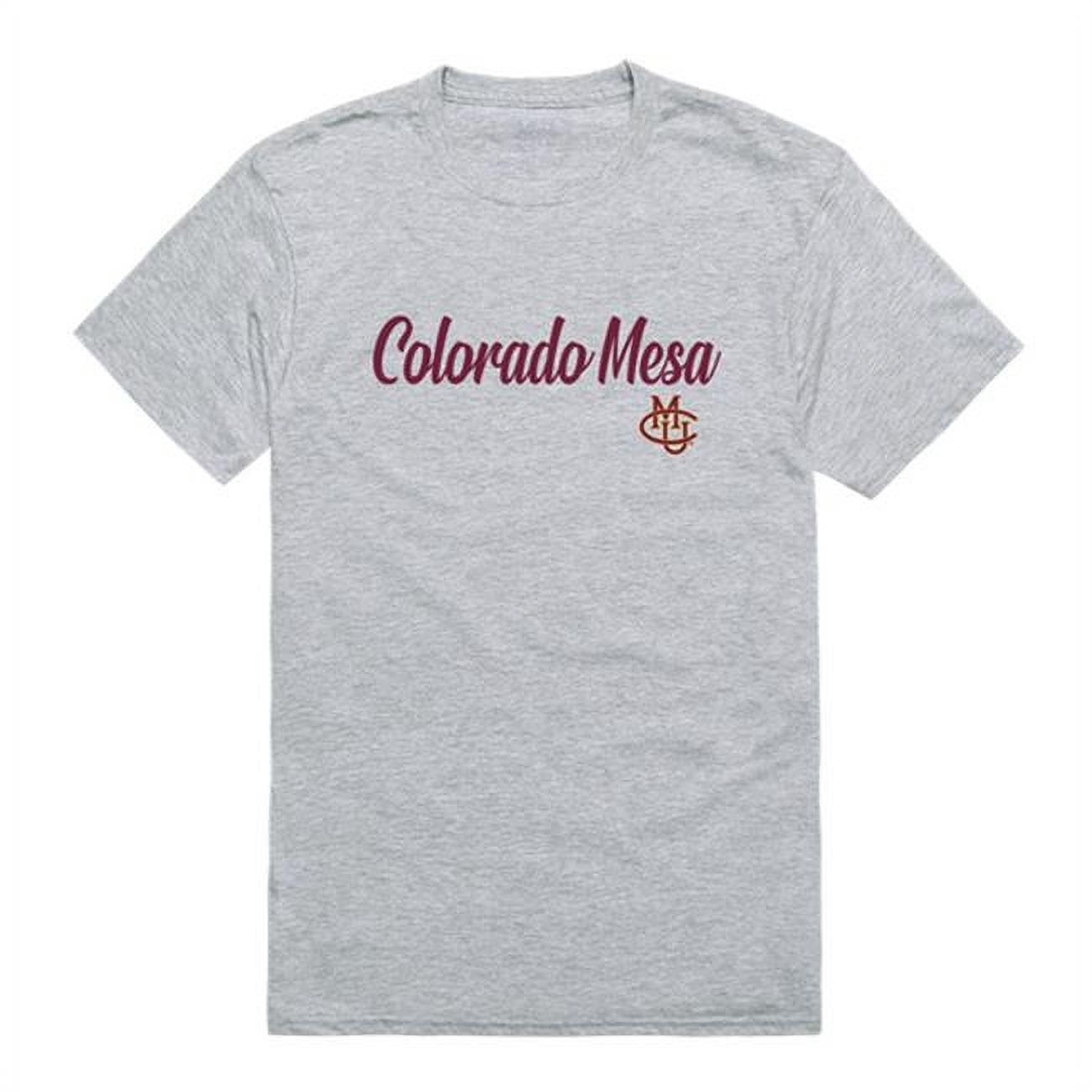 Men Colorado Mesa University Mavericks Script T-Shirt, Heather Grey ...