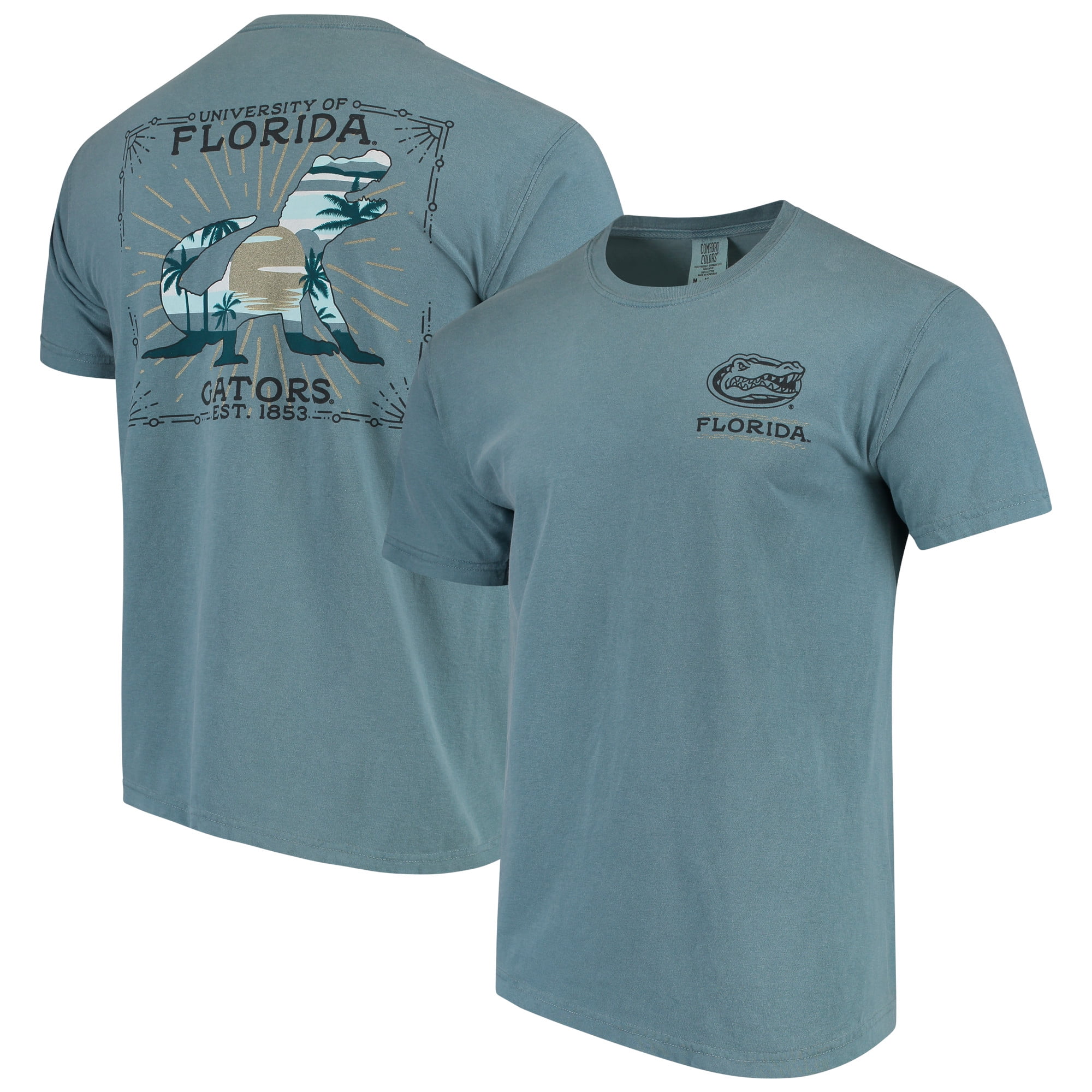 Men's Blue Florida Gators State Scenery Comfort Colors T-Shirt ...