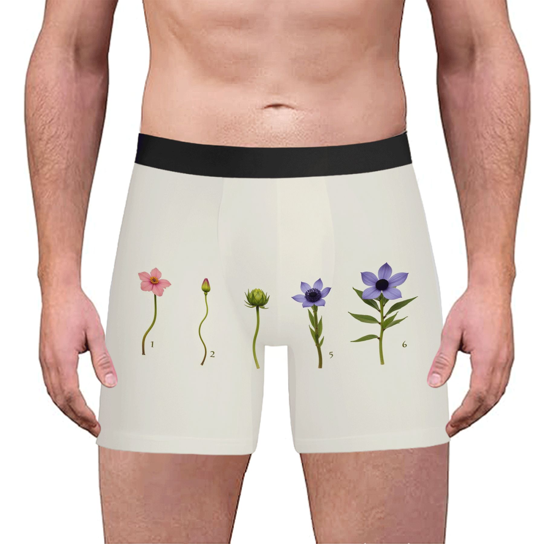 Men's Boxer Briefs with Floral Life Cycle Design - Black Waistband ...