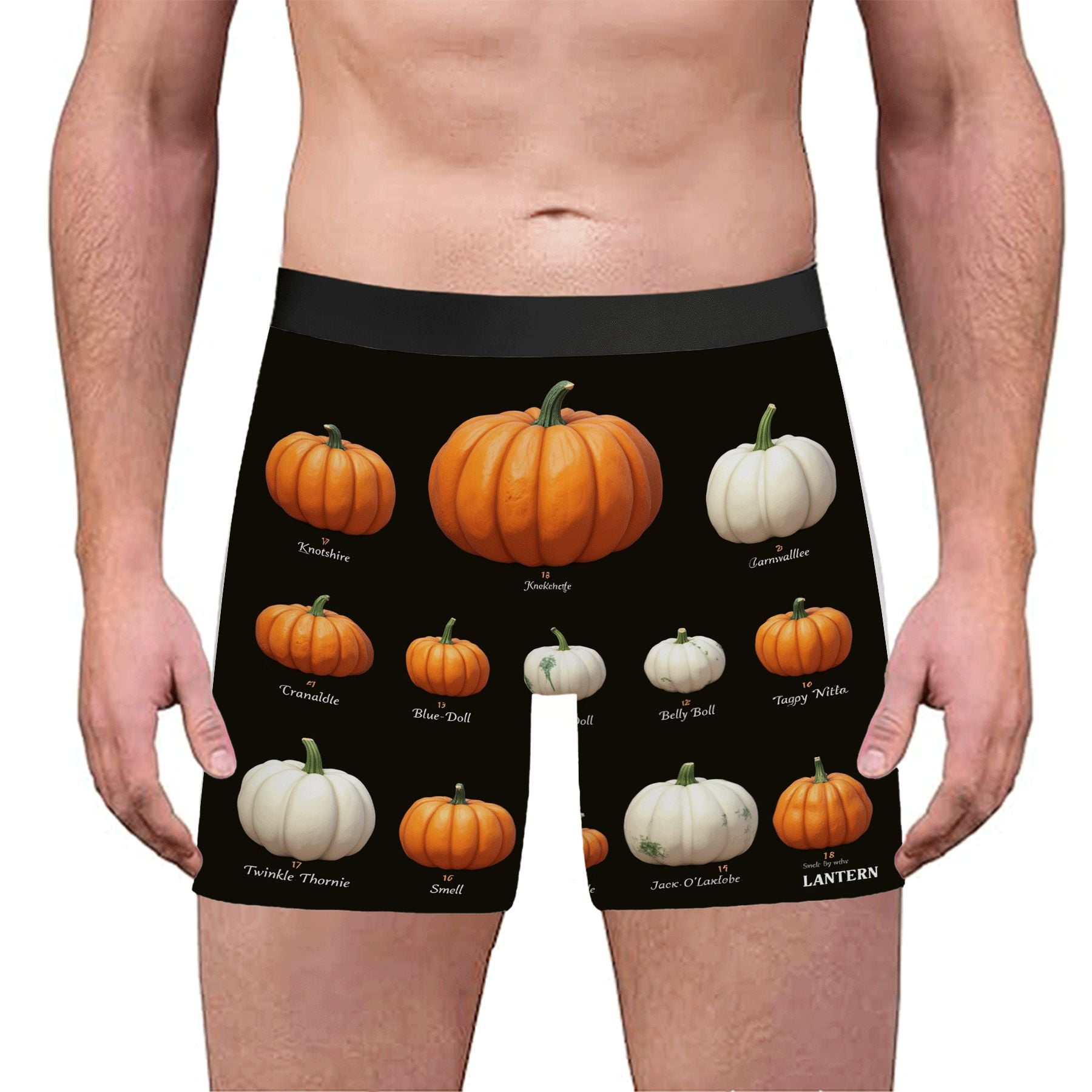 Men's Boxer Briefs with Fun Pumpkin Pattern - 12 Unique Pumpkins Design ...