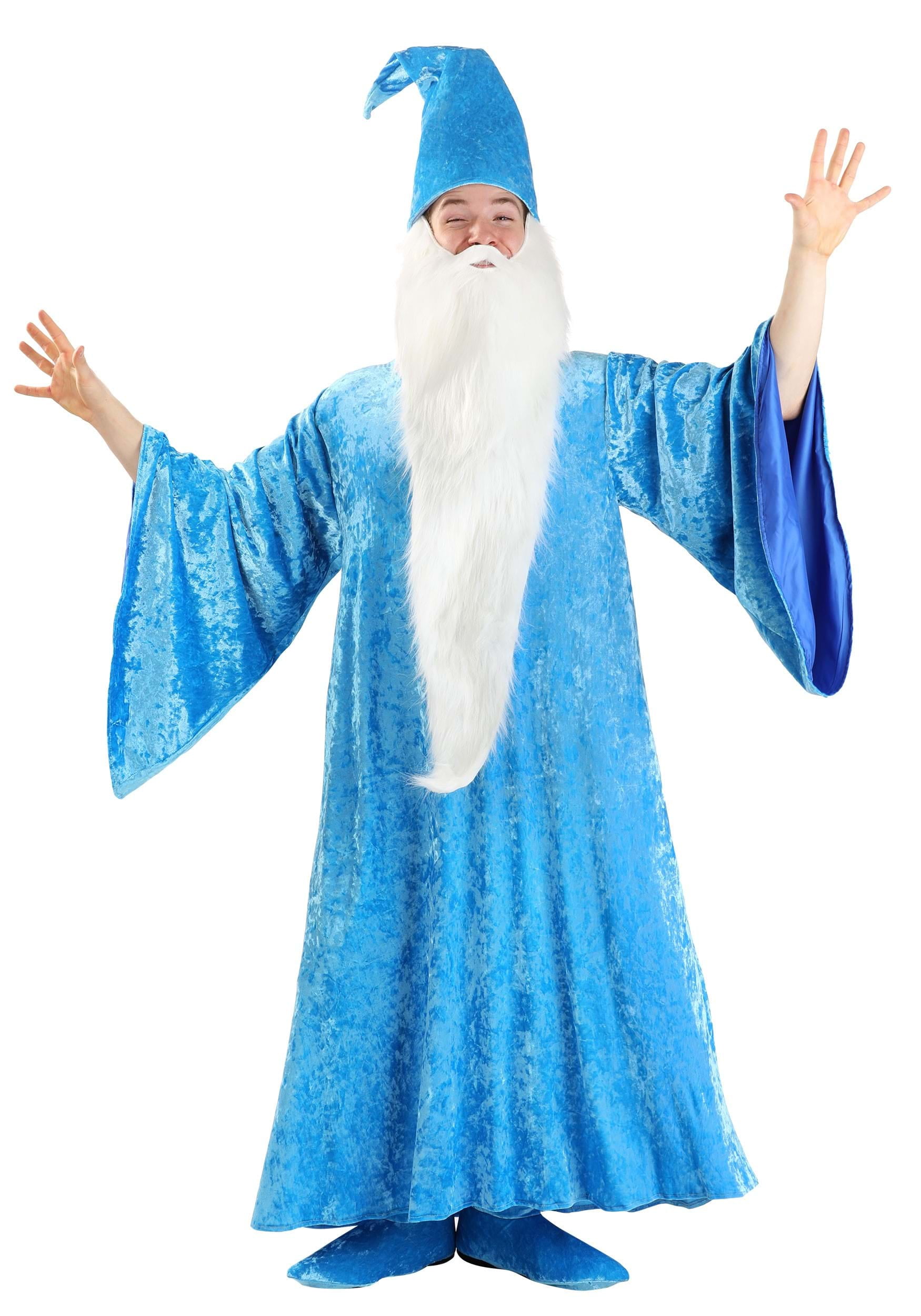 Men's Disney The Sword in the Stone Merlin Costume - Walmart.com