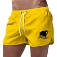 Men's Hawaiian Swim Trunks 2 In 1 Water Shorts Lightweight Swimwear ...