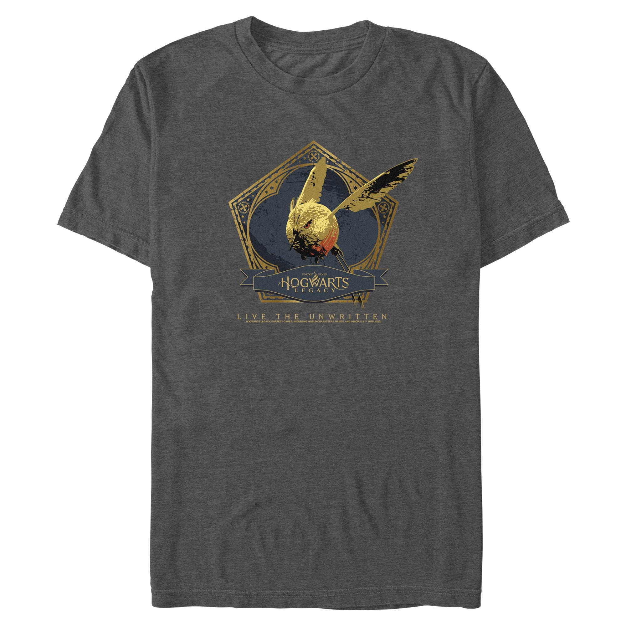 Men's Hogwarts Legacy Golden Snidget Logo Graphic Tee Charcoal Heather ...