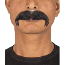 Fake Moustache