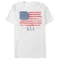 Lost Gods Men's Patriotic 4th of July USA Flag Freedom Graphic Tee ...