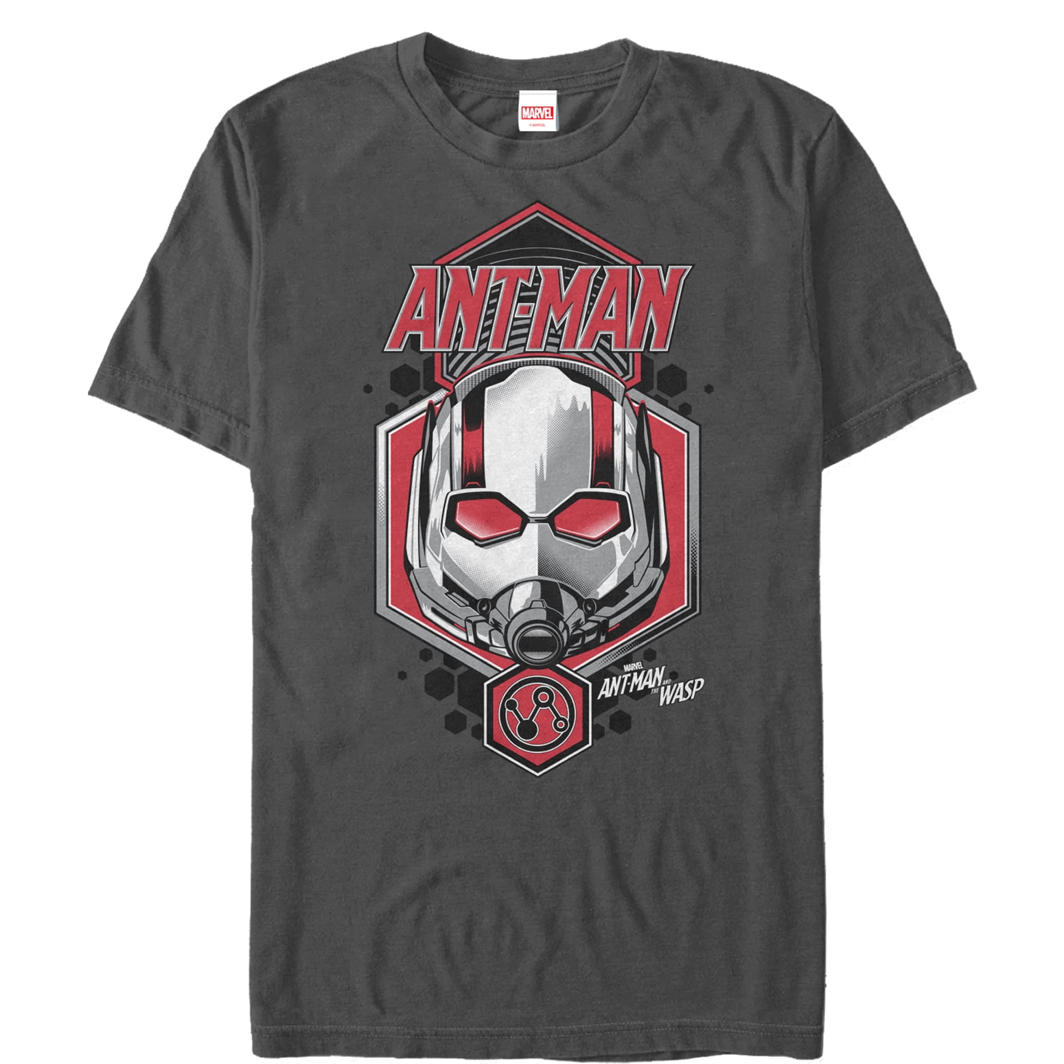 Men's Marvel Ant-Man and the Wasp Particles Graphic Tee Charcoal 3X ...